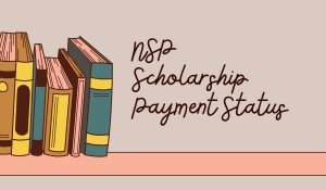 NSP Scholarship Payment Status Online Check at pfms.nic.in